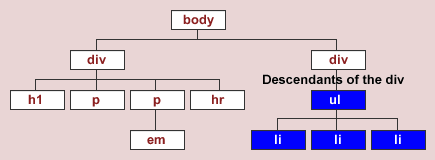 Basic - CSS